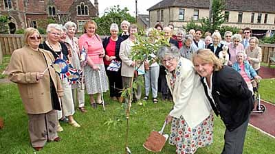 WI tree for dementia garden | wsfp.co.uk