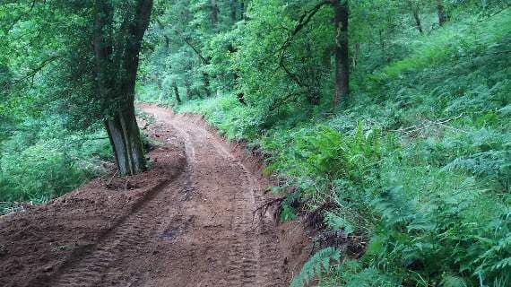 Worth Wood bridleway reopens | wsfp.co.uk