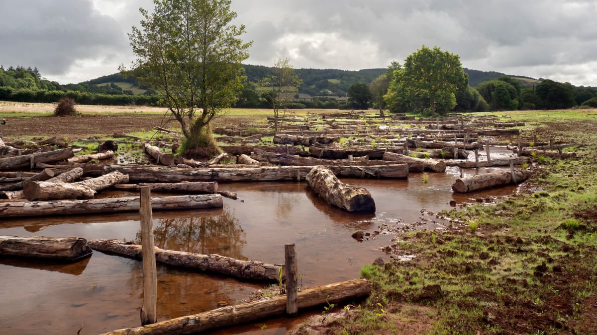 National Trust pioneers massive river landscape engineering project on ...