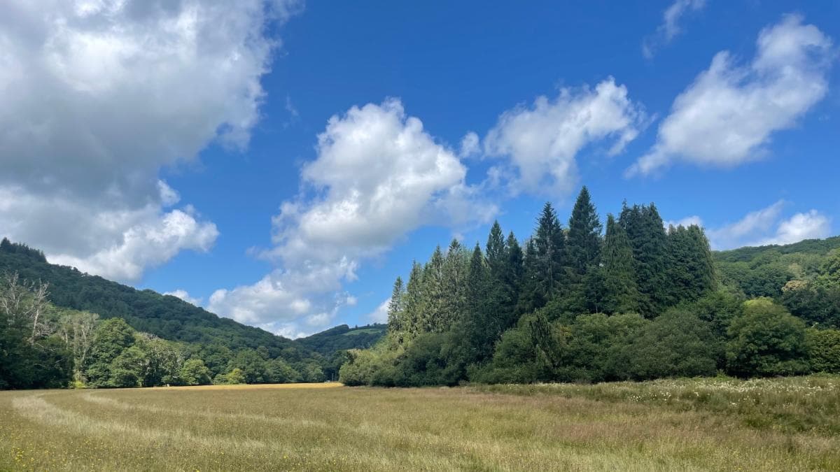 Exmoor National Park Authority welcomes Government nature recovery ...