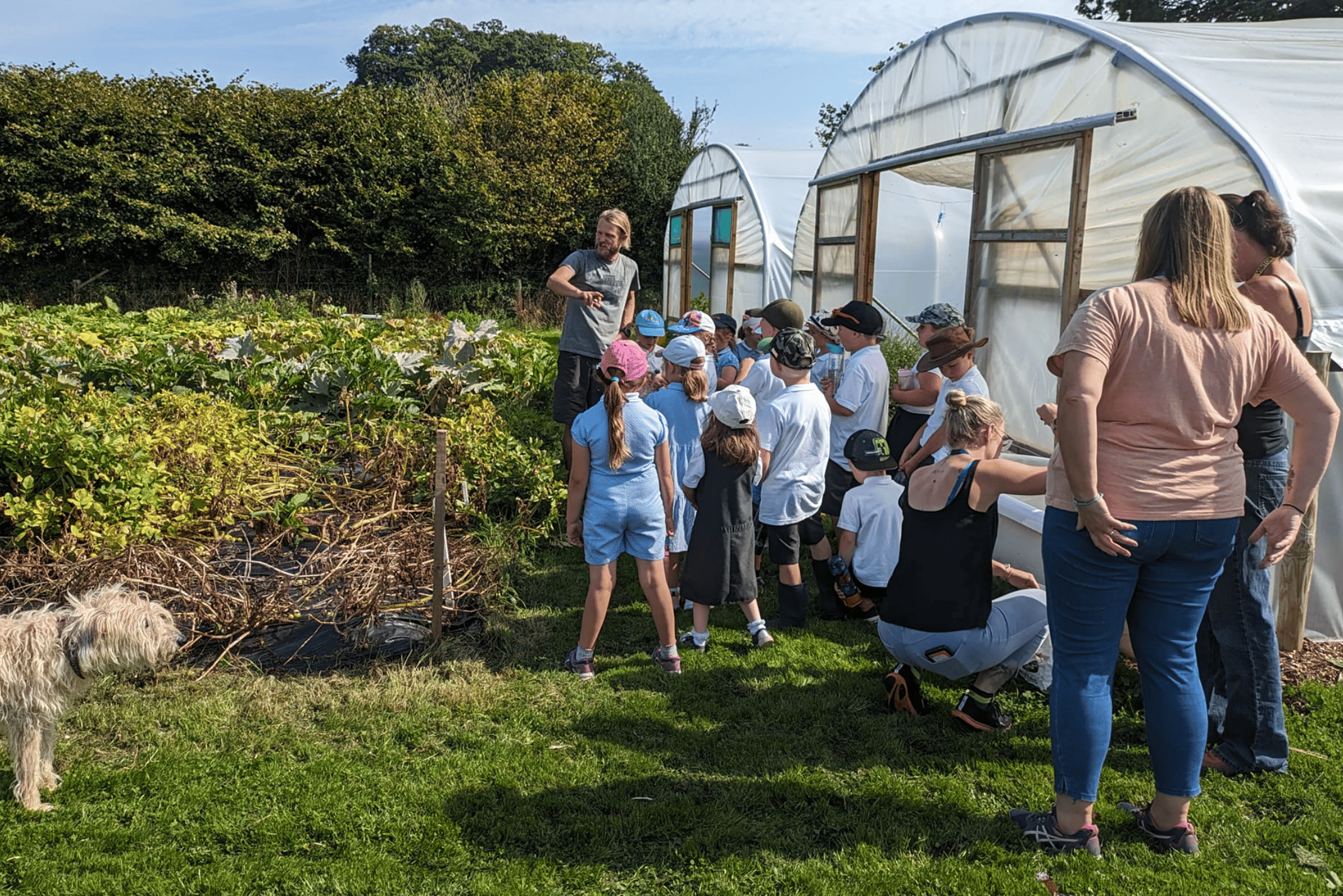 Good Vibe Veg community garden hosts Porlock schoolchildren in first of ...