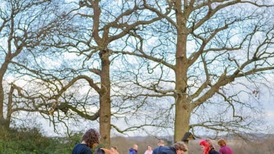 Park authority pushes Tree Council fund for anybody wanting to plant ...