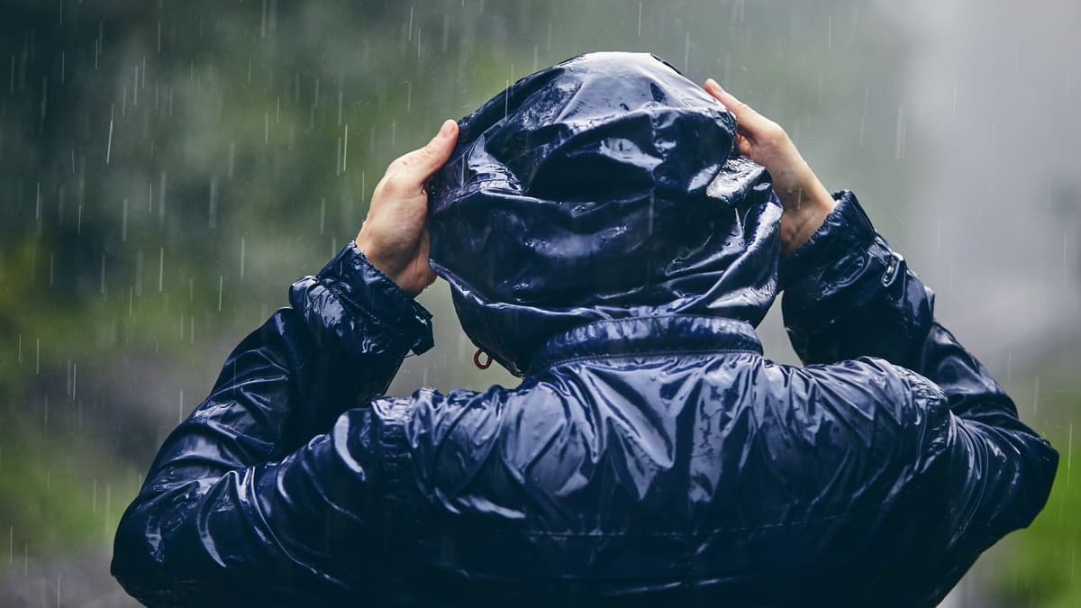 Williton weather forecast: Patchy rain and light showers | wsfp.co.uk