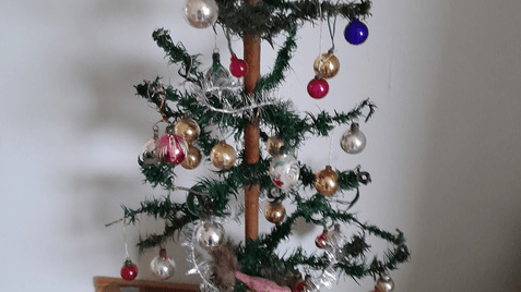 Century-old Christmas tree still in use by Minehead family | wsfp.co.uk