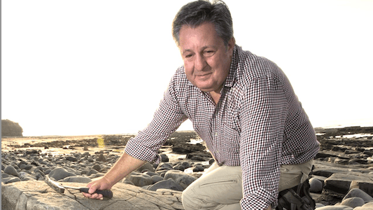 Geologist says ‘irresponsible' fossil hunters are damaging Watchet ...