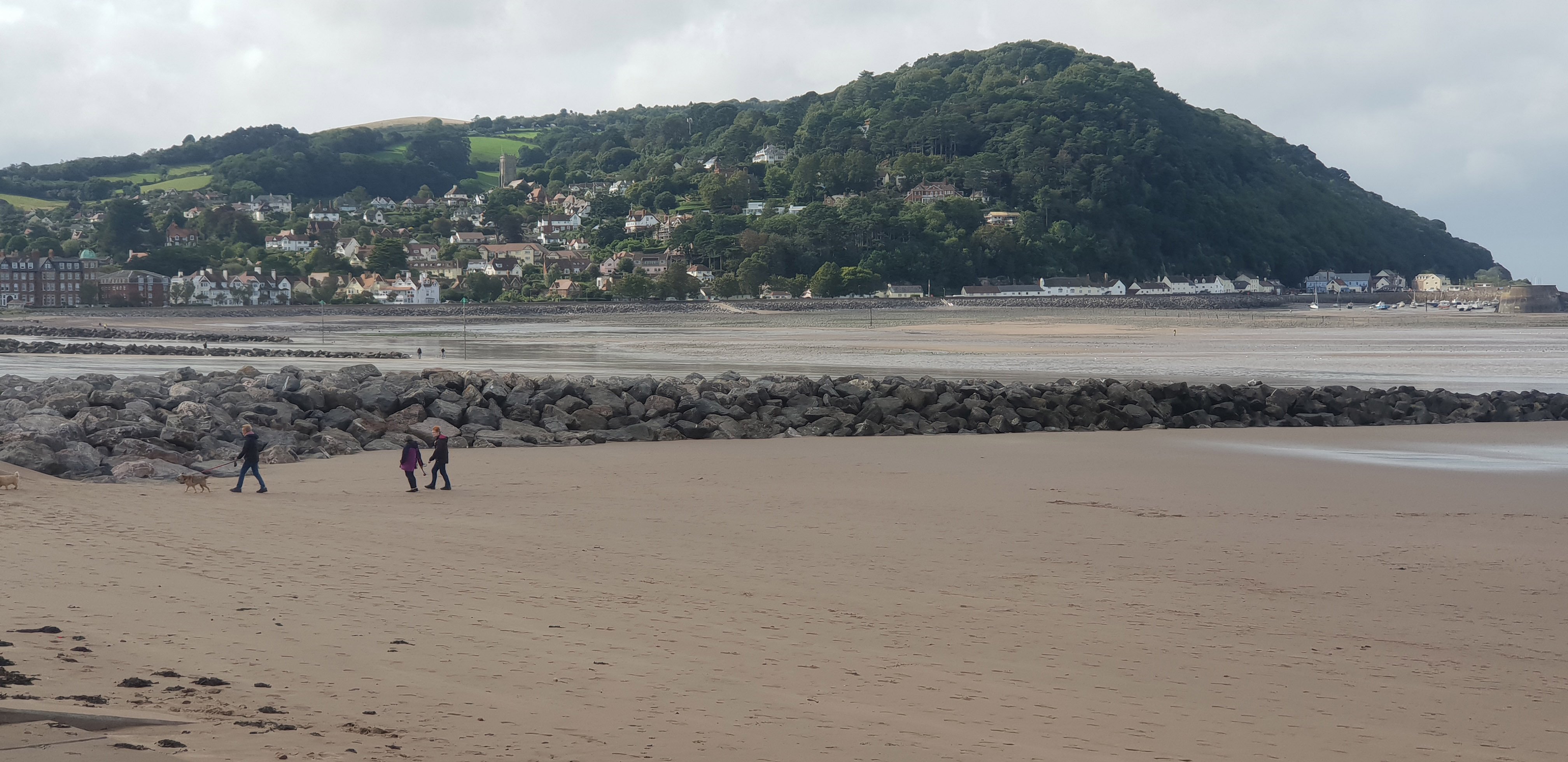 Controversial dog ban on Minehead beach to be brought back | wsfp.co.uk