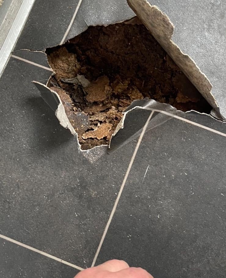 Disabled mother left black and blue after floor and ceiling collapse ...