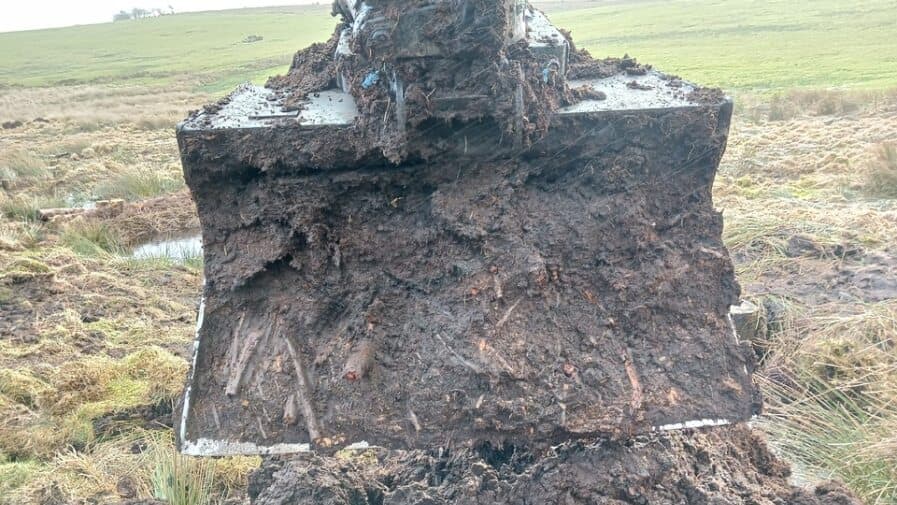 Exmoor peat 'time capsule' uncovers evidence of Neolithic and Bronze ...