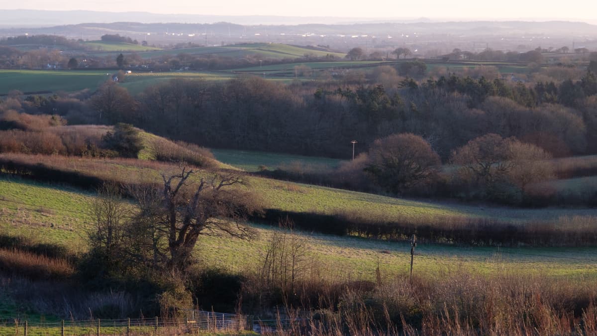 Local views sought on Quantock plans | wsfp.co.uk