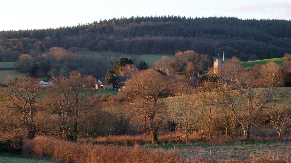 Plan for Quantock Hills Farm to be best practice example for tackling ...