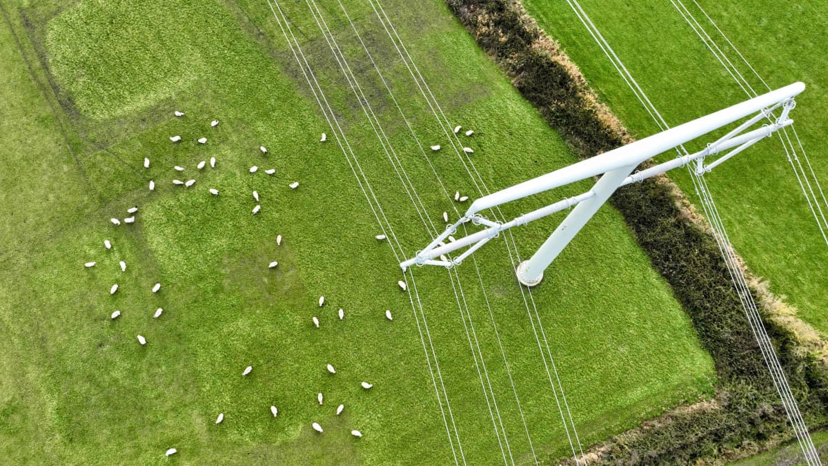 Pylons carrying power from Hinkley Point C fully 'strung' with ...