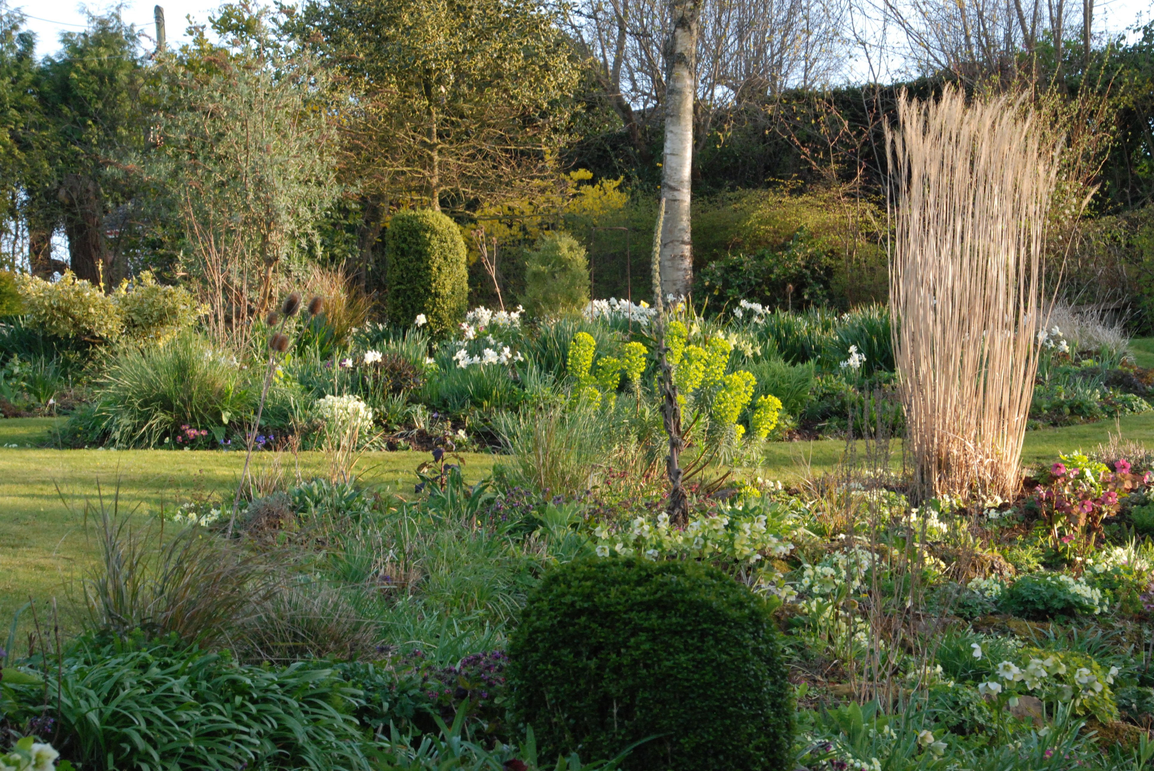 Elworthy Cottage opening garden to raise funds for Children's Hospice ...