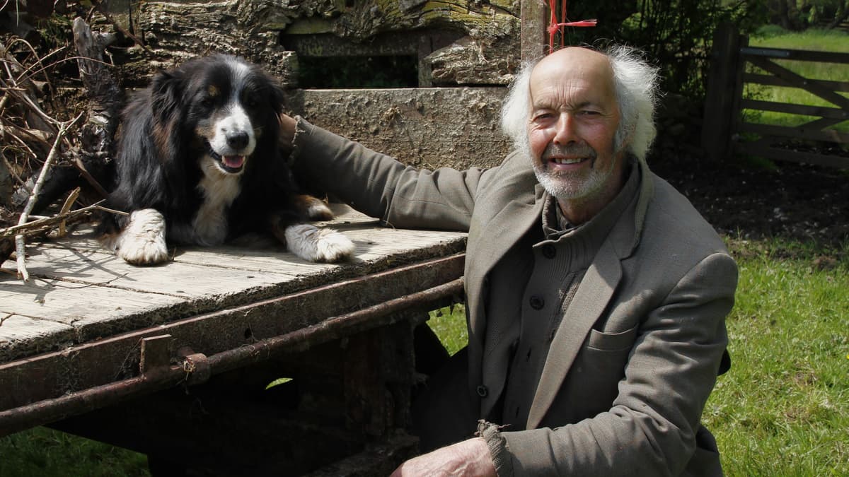Exmoor farmer Michael Reed to blockade farm to stop cow being taken ...