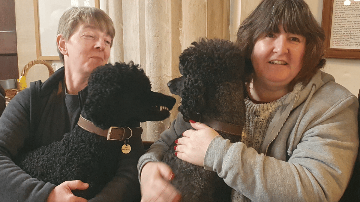 Wall hanging made by villagers to be unveiled in St Petrock's Church ...