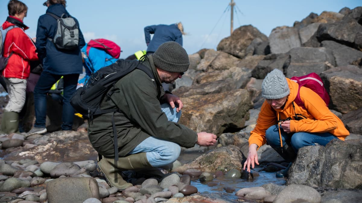 Seaside safaris and nature-based activities to mark World Ocean Day in ...