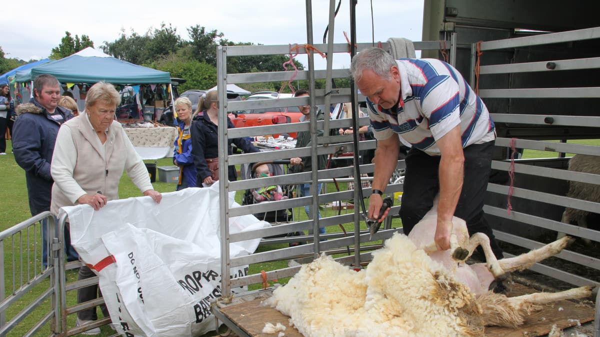 Carhampton traditional fete raises £3,500 for local organisations ...