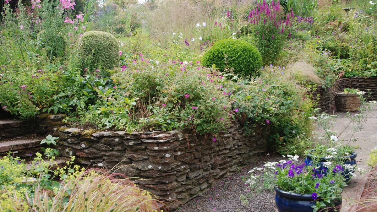 Elworthy Cottage garden to open to support Children's Hospice South ...