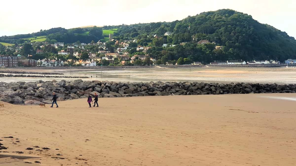 Dog walkers on Minehead beach could face £1k fines as council fails to ...