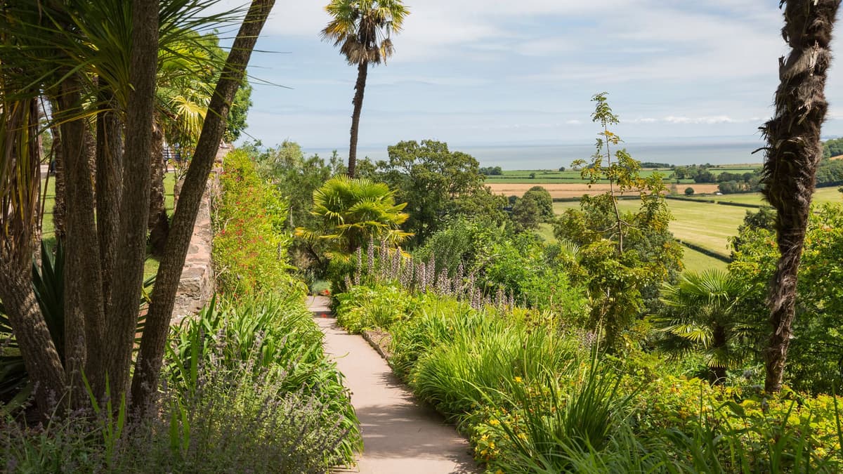 Experience the magic of its Dunster Castle gardens after hours | wsfp.co.uk