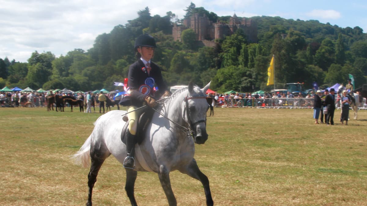 Dunster Show returns with wall-to-wall sunshine and even larger crowds ...