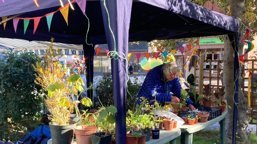 Minehead Climate Fair is a phenomenal success | wsfp.co.uk