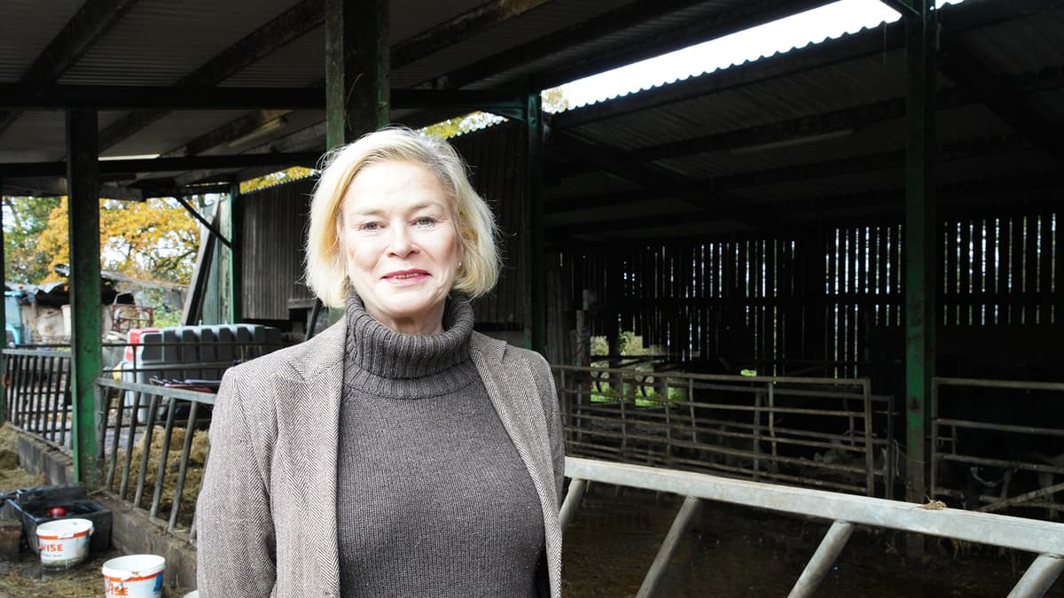 MP Rachel Gilmour wants to use life experiences as 'force for good' in ...