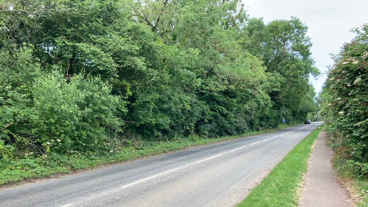 Dozens of new homes could be built on main road through Minehead | wsfp ...