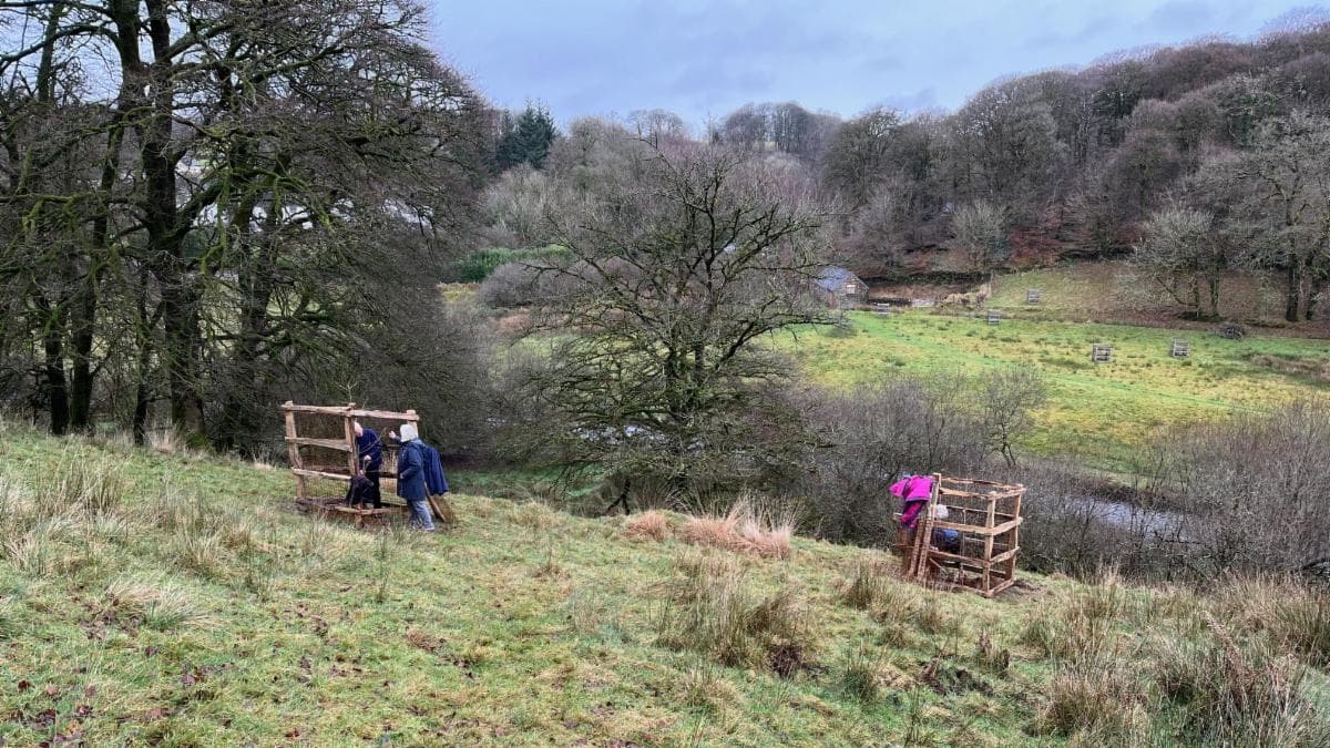 Families help boost tree cover on Exmoor with special 'parkland ...