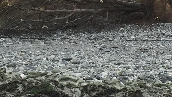 Cliff fall on beach near Watchet captured on video by couple looking ...