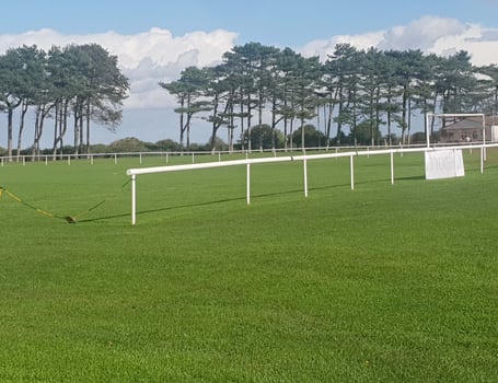 Repairing tree root damage to Watchet Memorial Ground path costs £2,150 ...