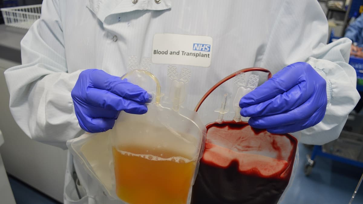 Plasma from blood helping to save lives of NHS patients | wsfp.co.uk