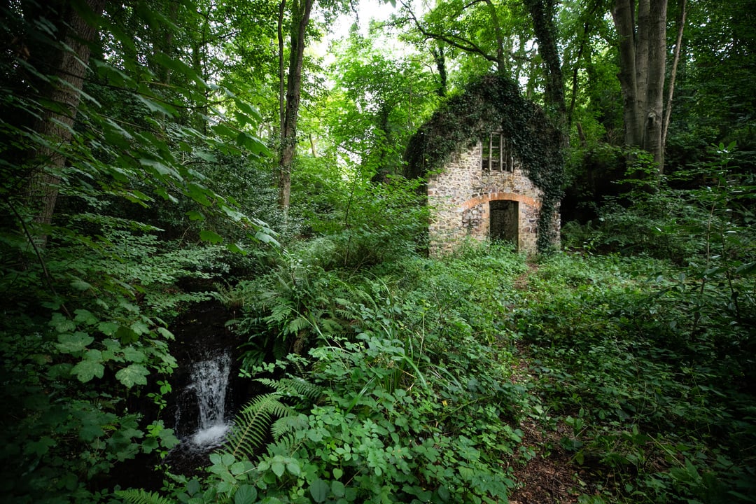 Historic Holford cottage seen in ‘(Everything I Do) I Do It For You ...