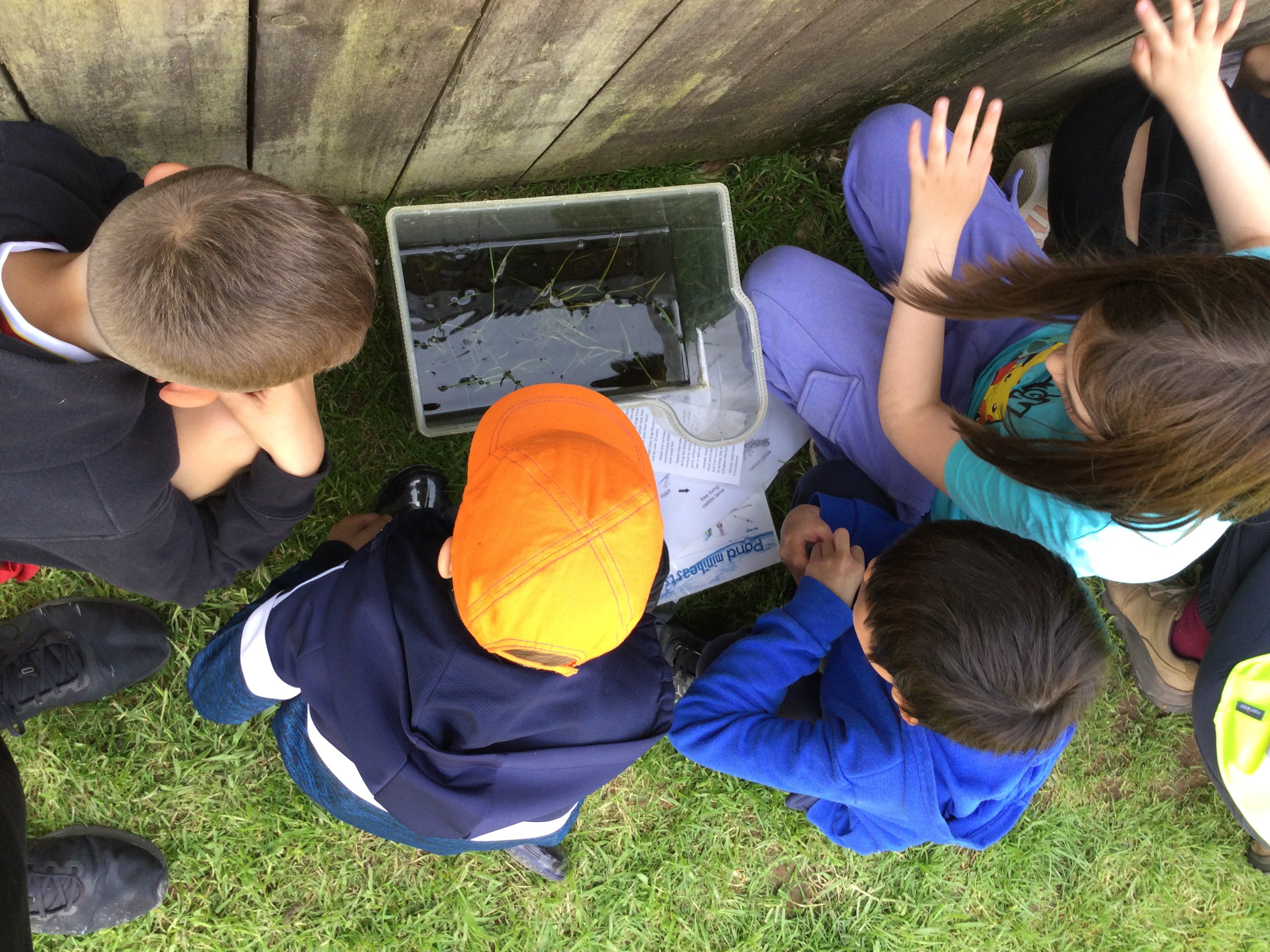 Colwill family's Farm School Exmoor hosts year five pupils from ...