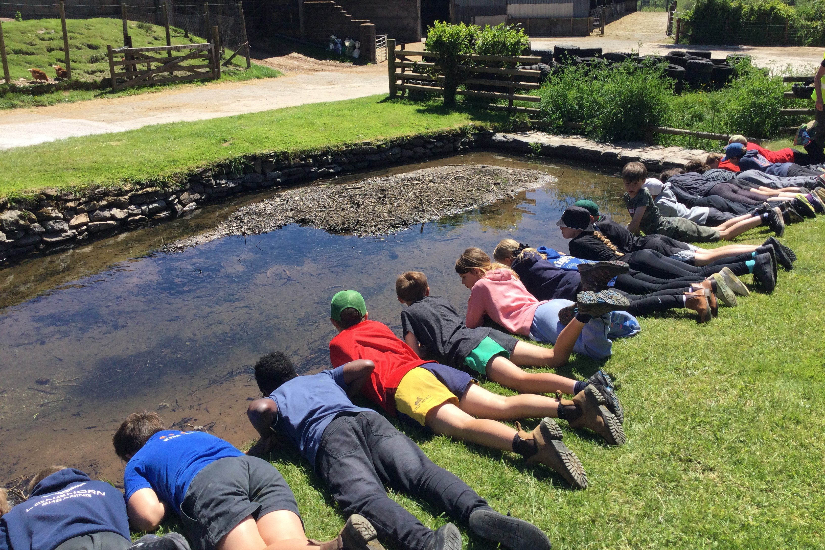 Colwill family's Farm School Exmoor hosts year five pupils from ...