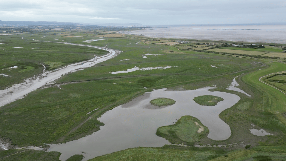 Trust explains why West Somerset's saltmarsh habitat is so important ...