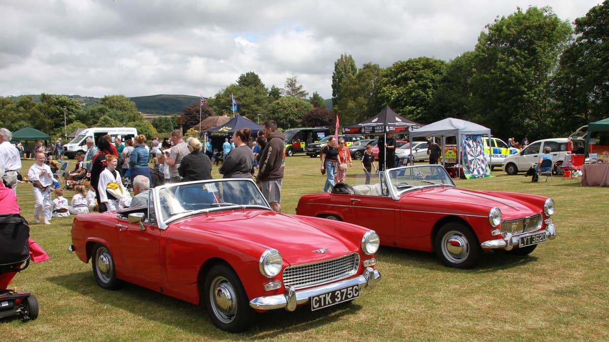 Williton Fete a "highlight for years to come" | wsfp.co.uk