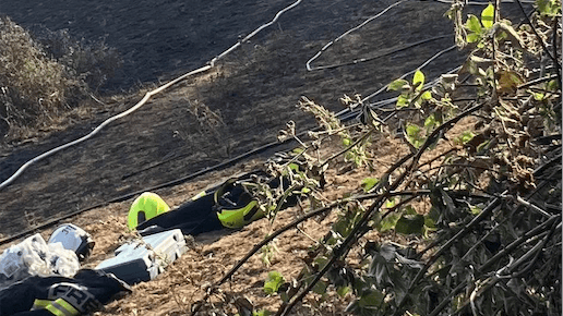 July heatwave sparks more than one call a day for Minehead fire crews ...