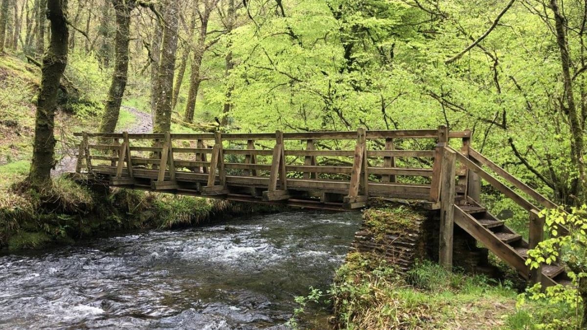 Exmoor National Park Authority plea for donations to fund bridge ...