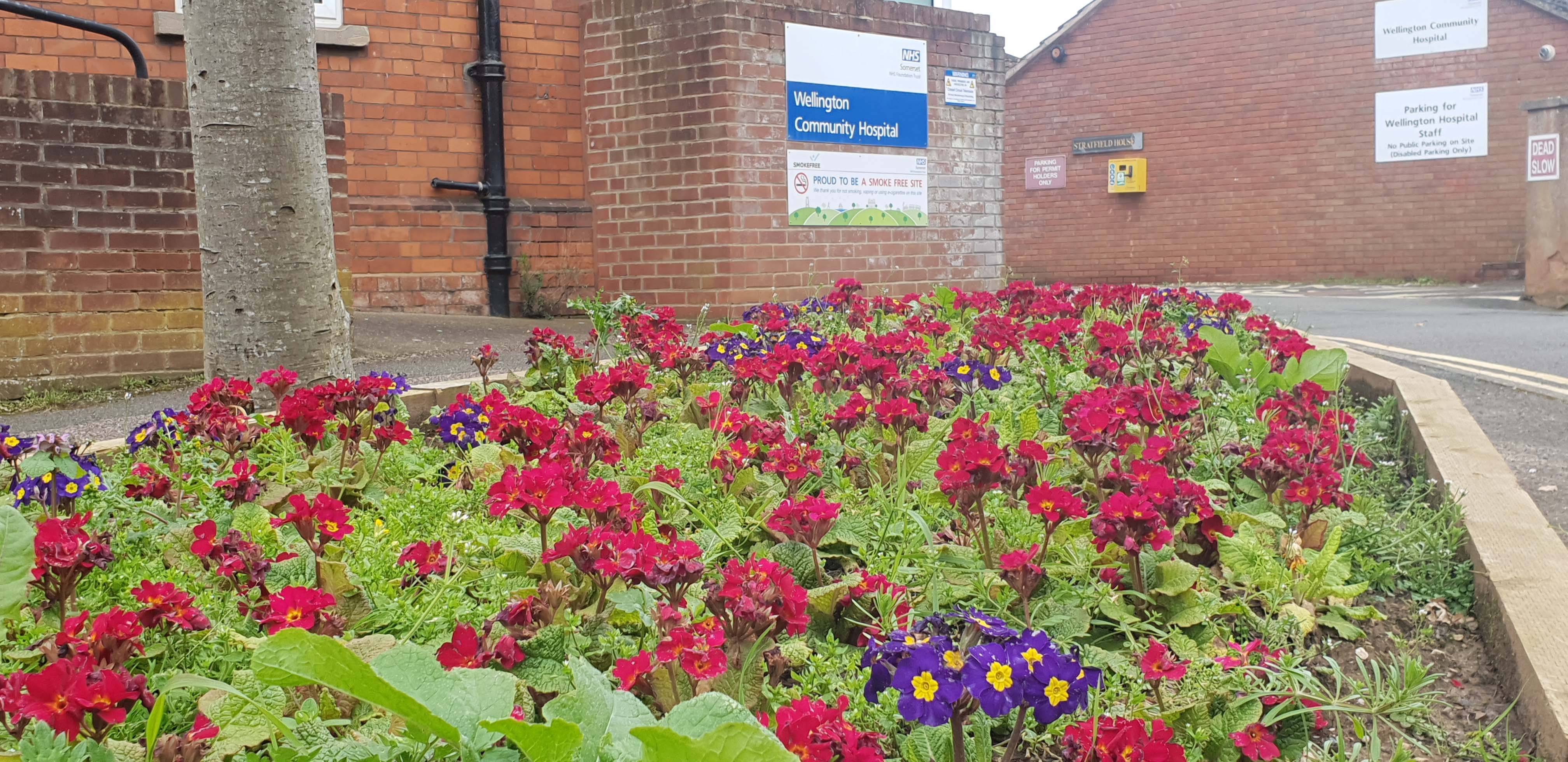 Community hospital beds face uncertain future as trust engages with ...