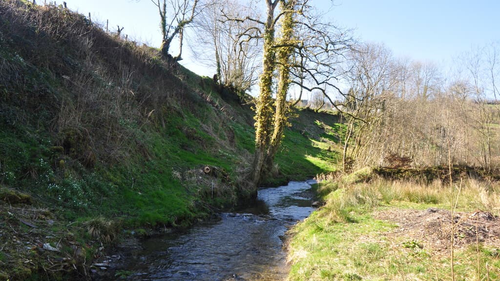 Nearly half of Exmoor's rivers are below good ecological standards new ...