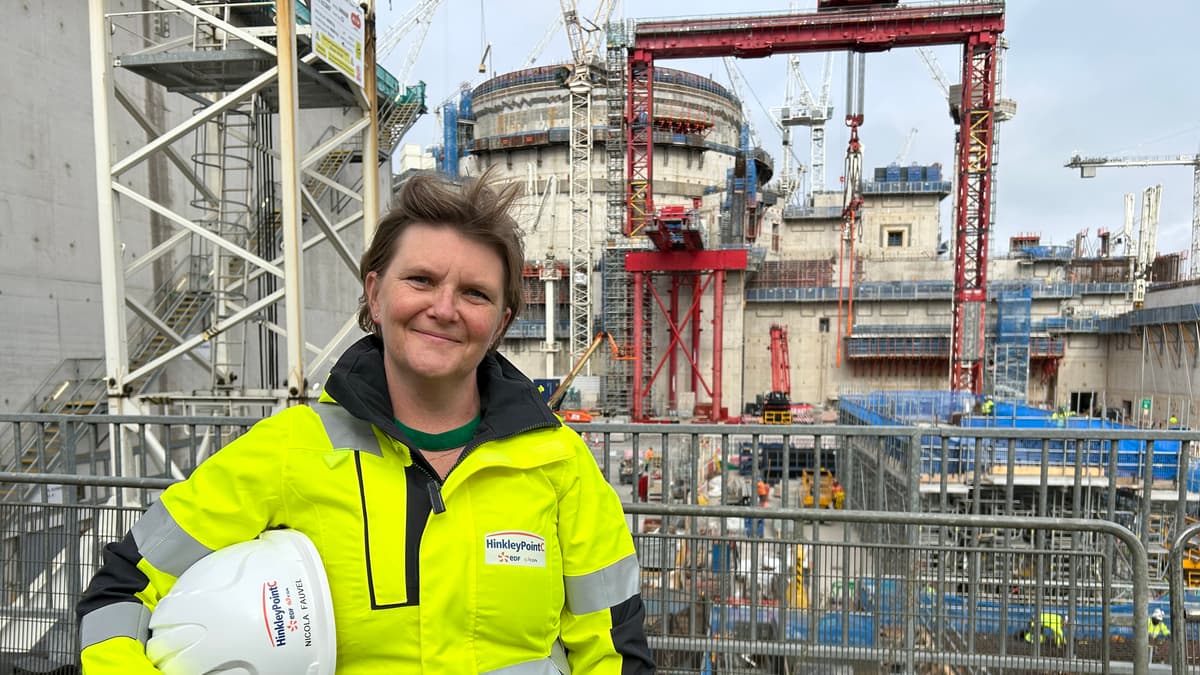 New Hinkley C director takes charge ready to start nuclear power ...