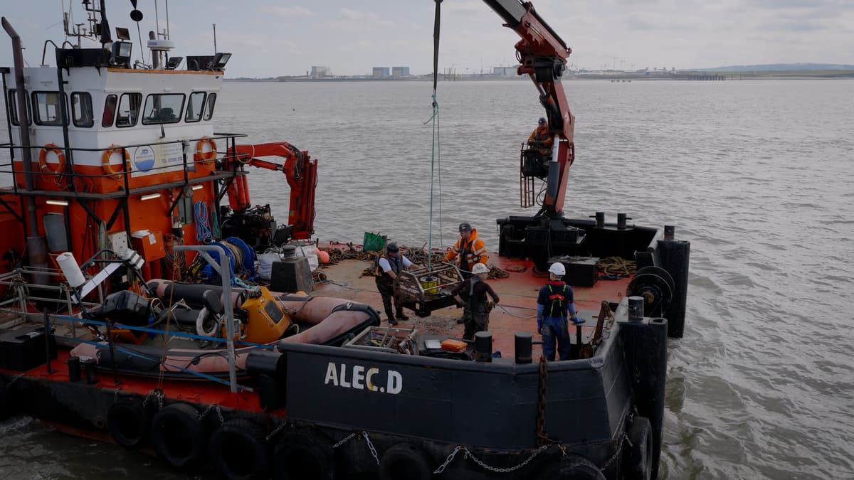 Hinkley Point C owner backs call for changes to nuclear power ...