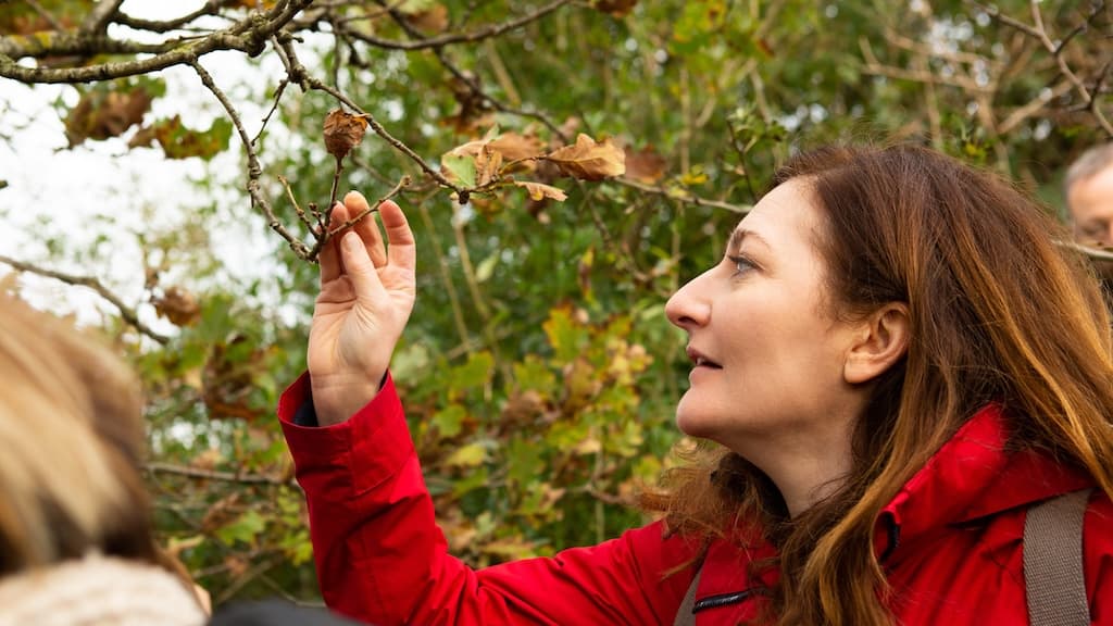 Education charity wants to hear of first sightings of spring in West ...