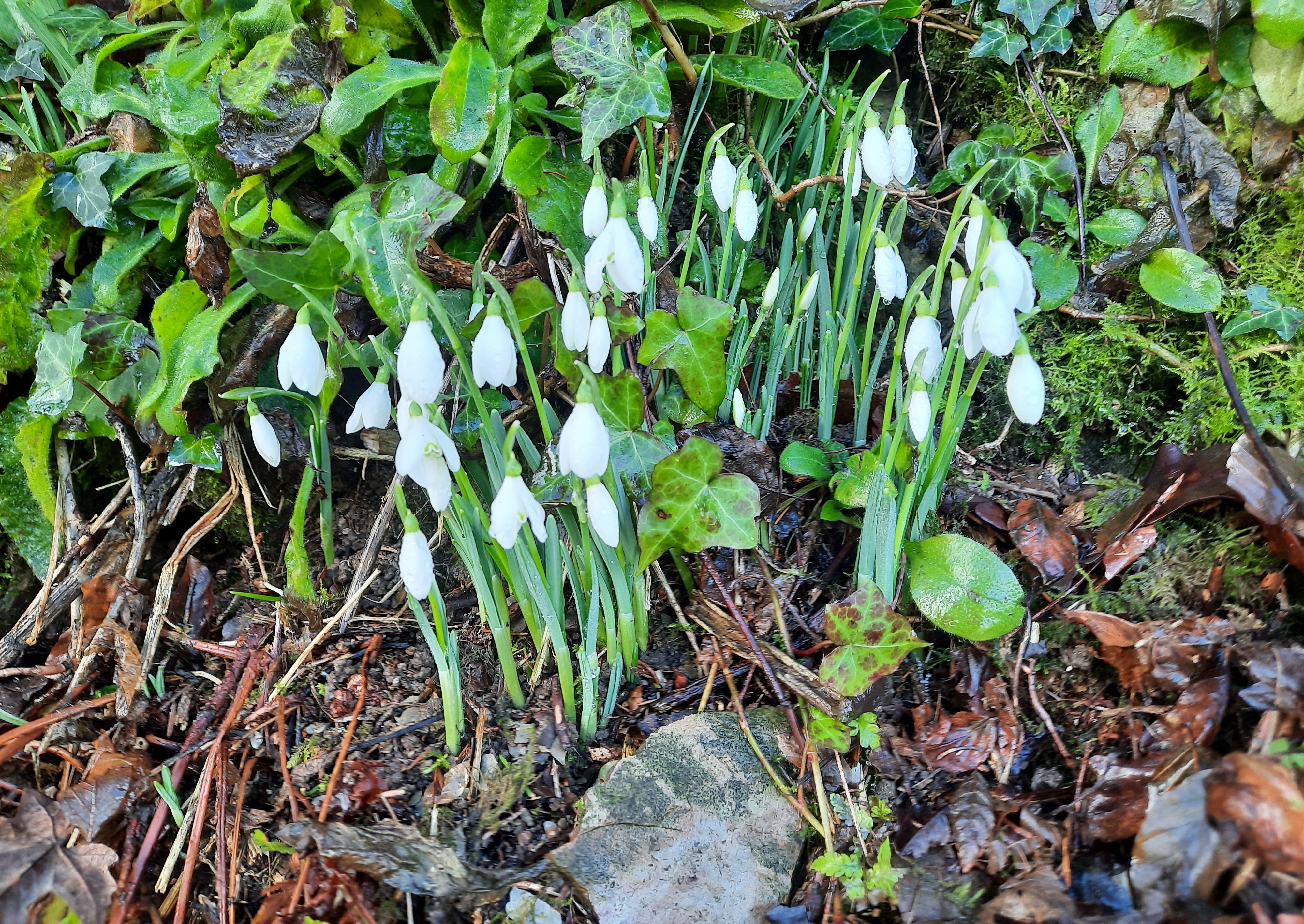 Letters from our readers across West Somerset | wsfp.co.uk