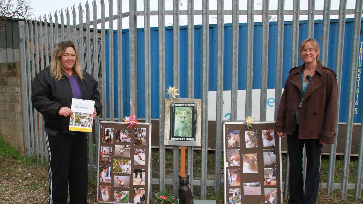 Minehead cat Gizmo remembered with life-size statue | wsfp.co.uk