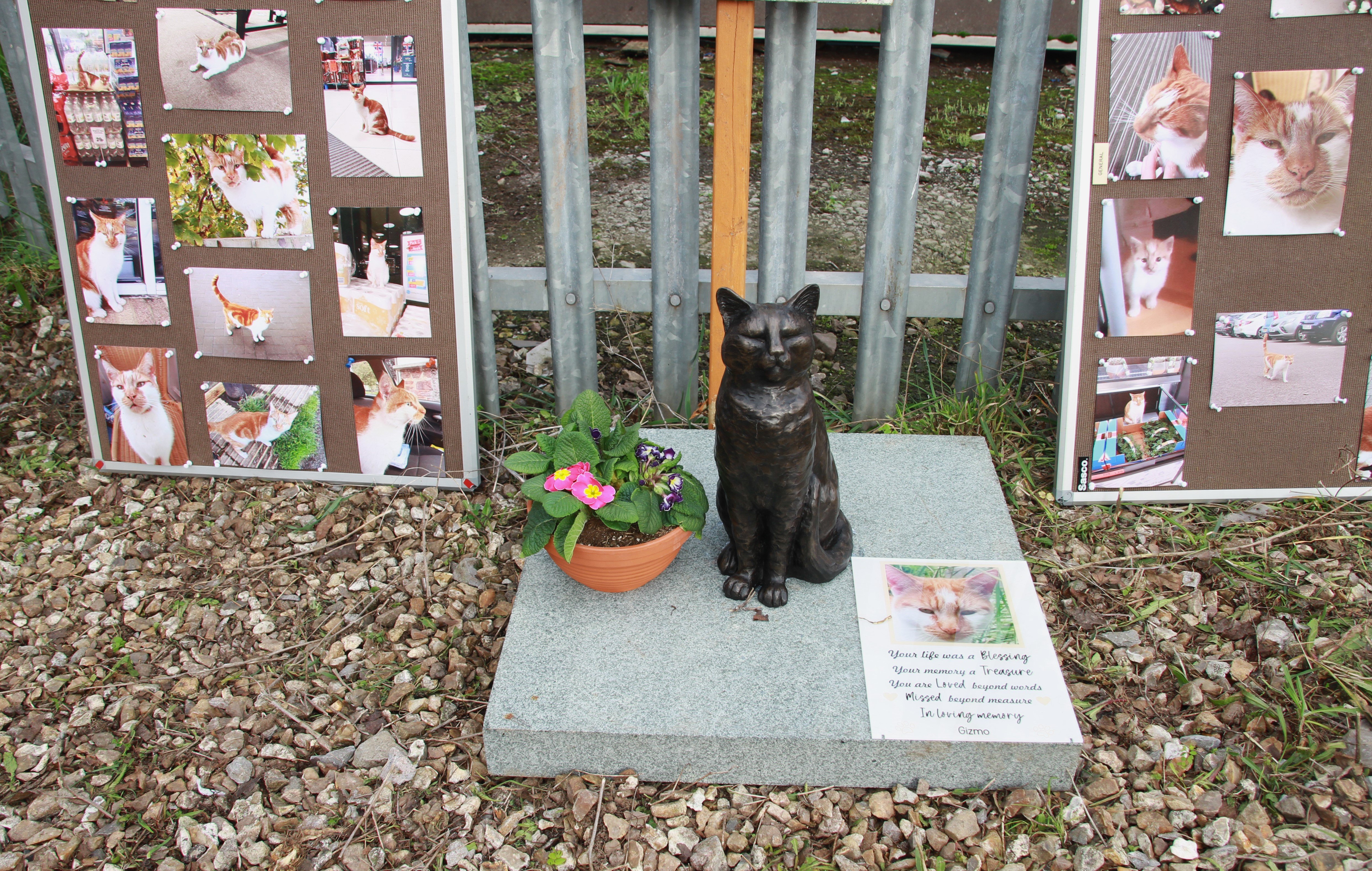 Minehead cat Gizmo remembered with life-size statue | wsfp.co.uk