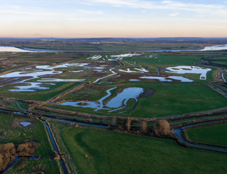 Charity completes massive salt marsh restoration project on West ...